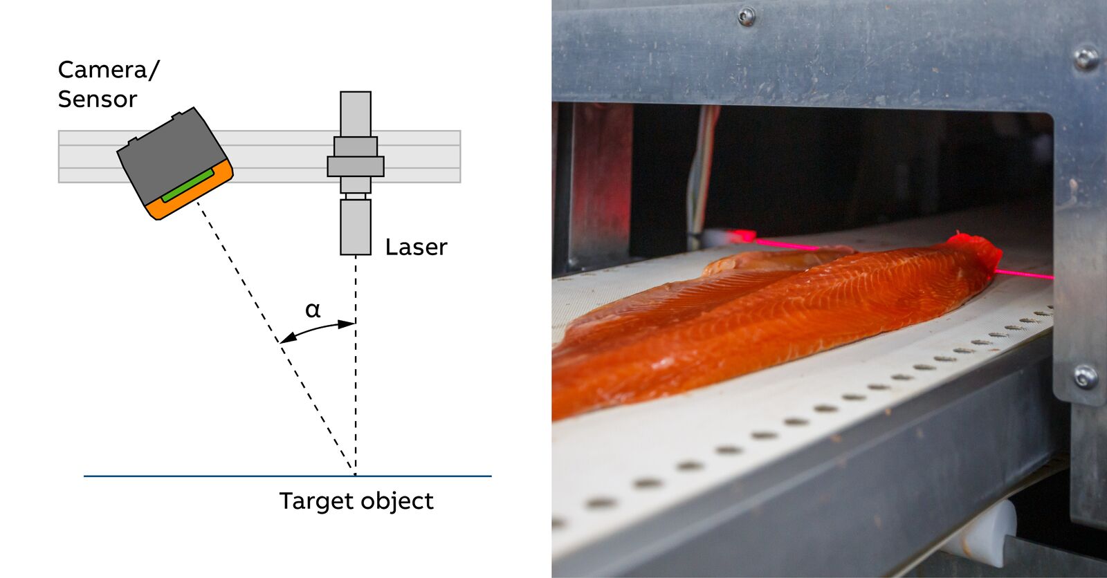 Integrated machine vision | B&R Industrial Automation